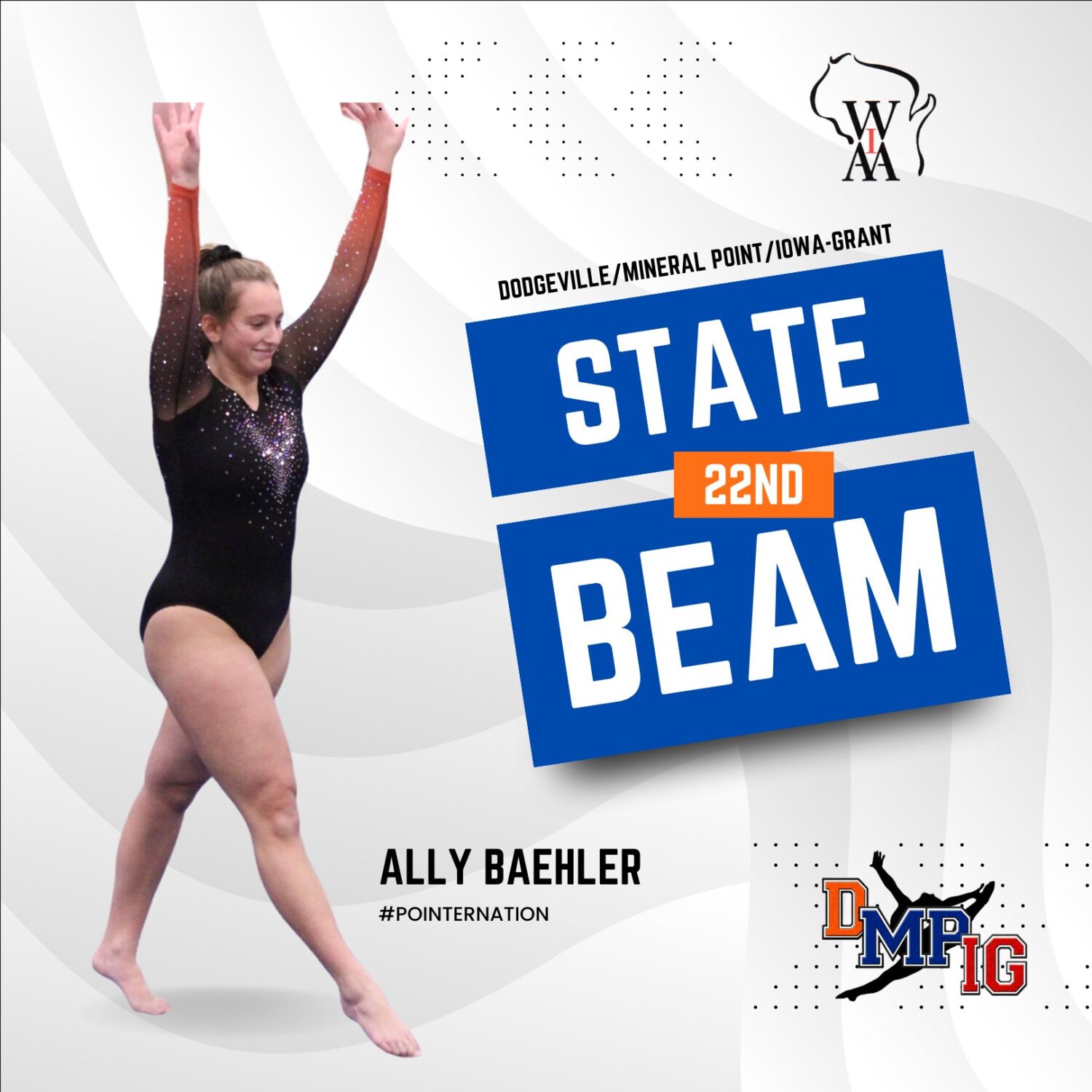 Mineral Point School District | Baehler Participates at State Gymnastics